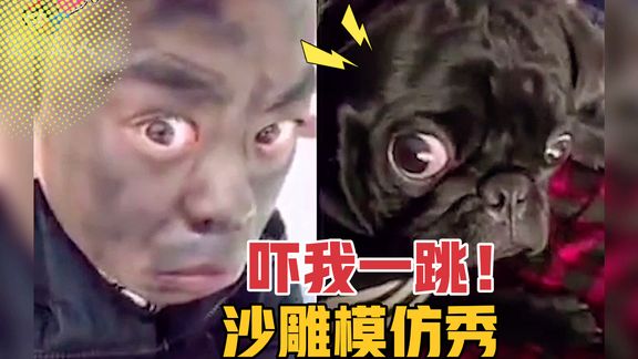 爆笑合集之:沙雕模仿秀,看一遍笑一遍