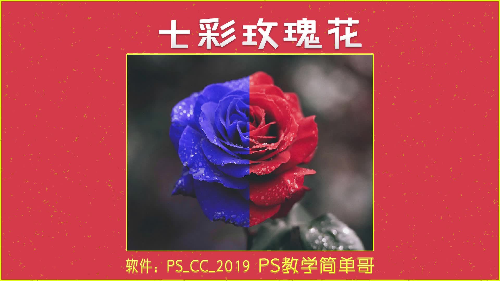 PS教学:七彩玫瑰调色教程,女朋友要啥颜色的玫瑰就给她啥颜色!