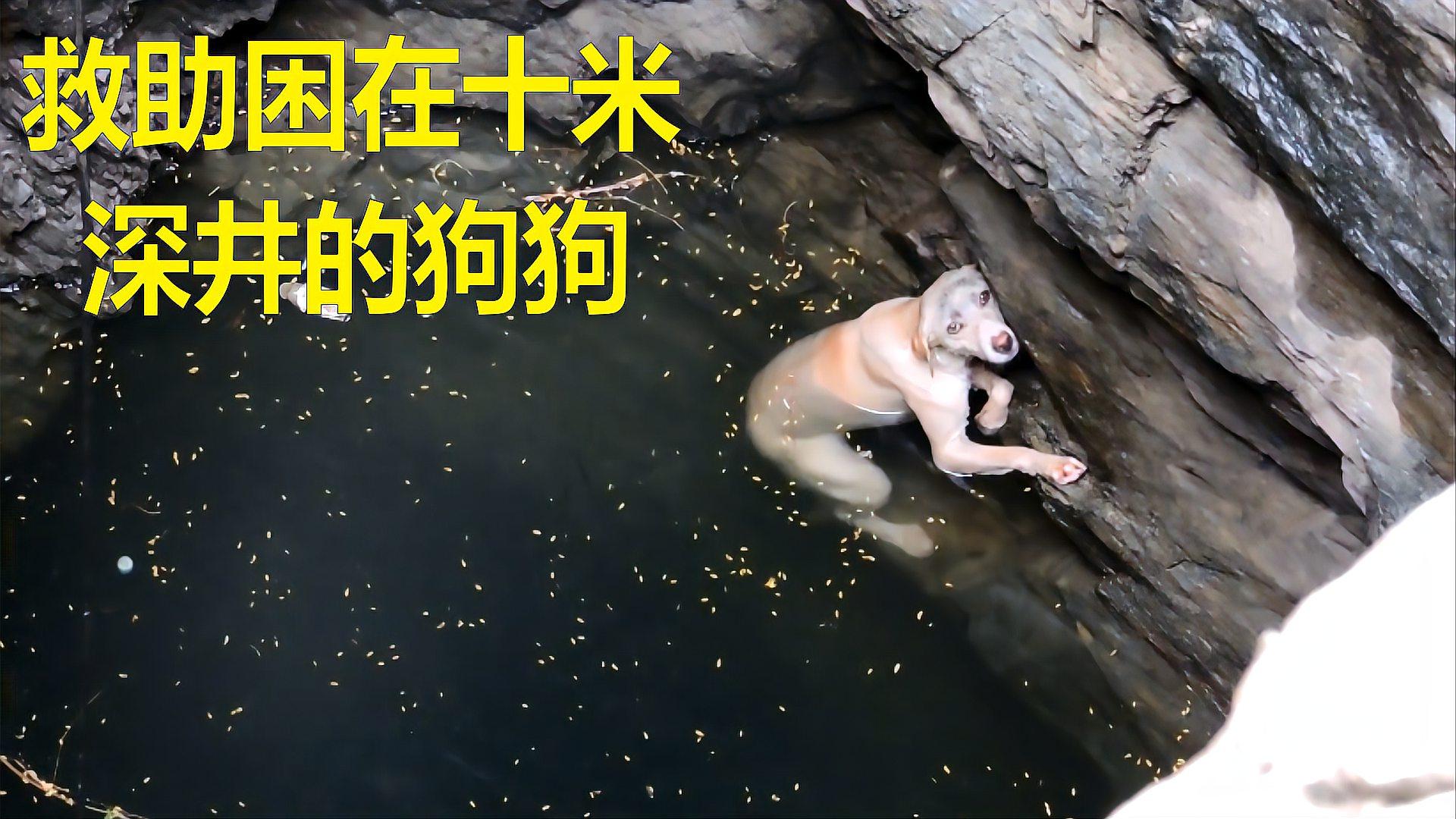 救助被困在十米深井的狗狗