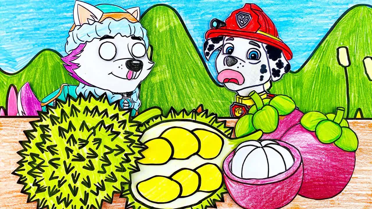 手绘定格动画:榴莲吃多了流鼻血,给汪汪队毛毛和珠珠吃些山竹吧