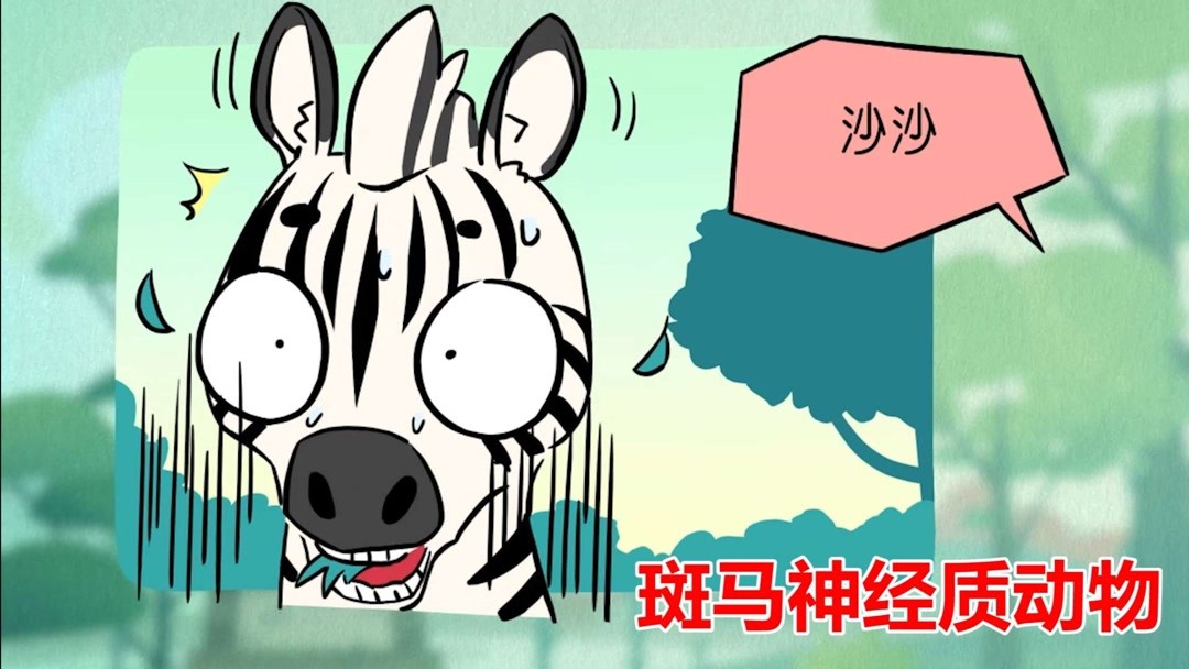 摩登大自然 第四十九集 你知道斑马是神经质动物吗?