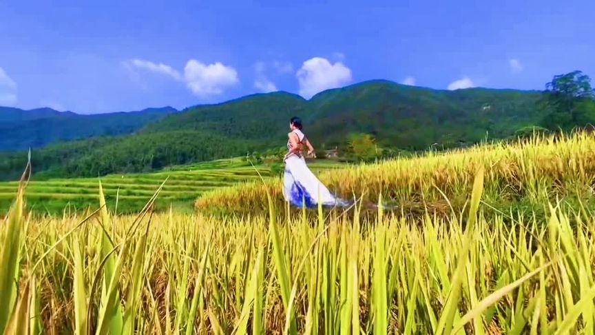 秋天的味道#稻田风光 #所遇皆美好 #带你走进画里 #田园生活