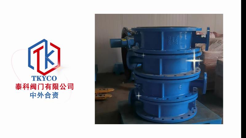 泰科阀门DN600 DN1000大口径涡轮法兰蝶阀