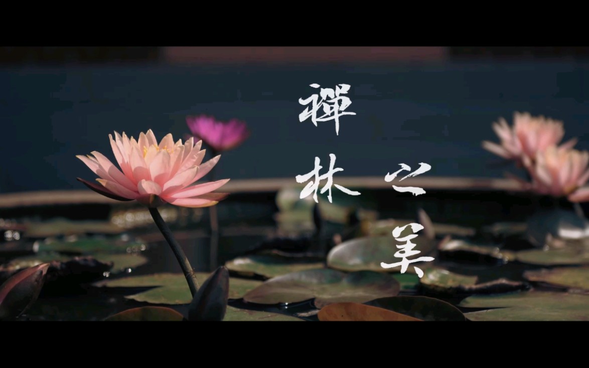 《禅林之美》中国大学生计算机设计大赛作品