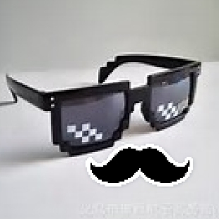 眼镜鸡Glasses-chicken 