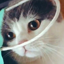 花姐科学小实验 
