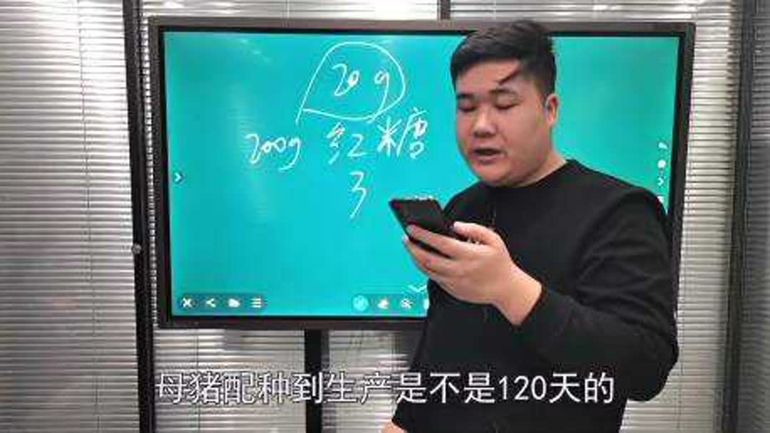 母猪配种到生产一共是多少天?养猪人要记住这三点!