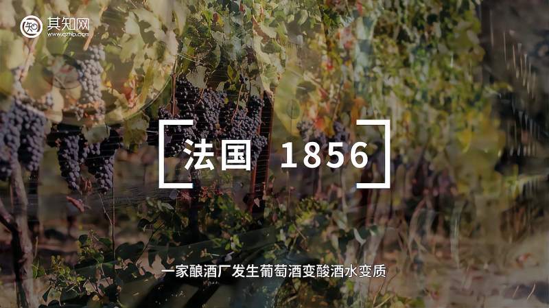 「其知网」影响世界的伟大发明——第十期:巴氏消毒法