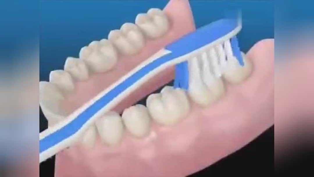 简单直接的动画演示,告诉你如何正确刷牙,给家人和孩子们看
