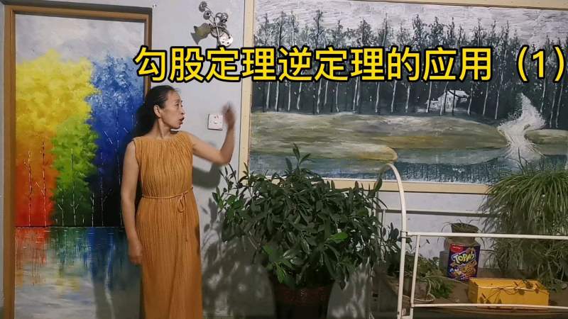 初二数学典型例题,勾股定理逆定理的应用(1)