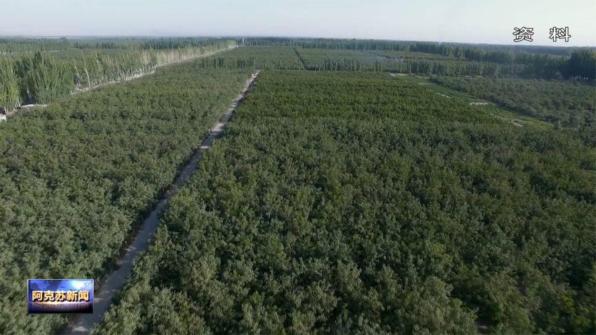 地区各地积极开展植树造林活动