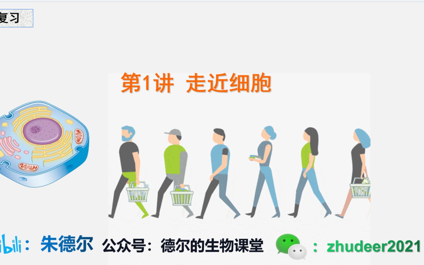 第1讲走近细胞(一轮复习)