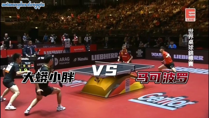 蟒胖组合vs马可波罗!马龙 波尔跨过组合大战樊振东 许昕