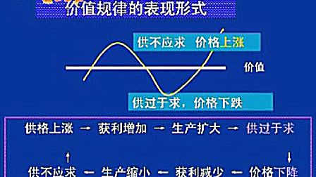 华师一附中 高中高一政治 【商品和商品经济(3)】 精品课堂实录 教学...