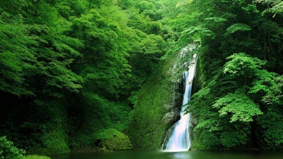 #教师评职称 本地教师职称上传资料步骤流程,个人观点。#老师