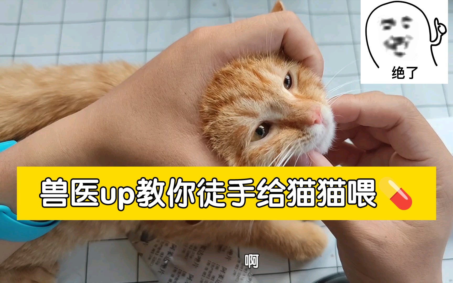 vlog:兽医专业up教你如何徒手给猫猫喂药。#飞宇稳定器618大促#飞宇...