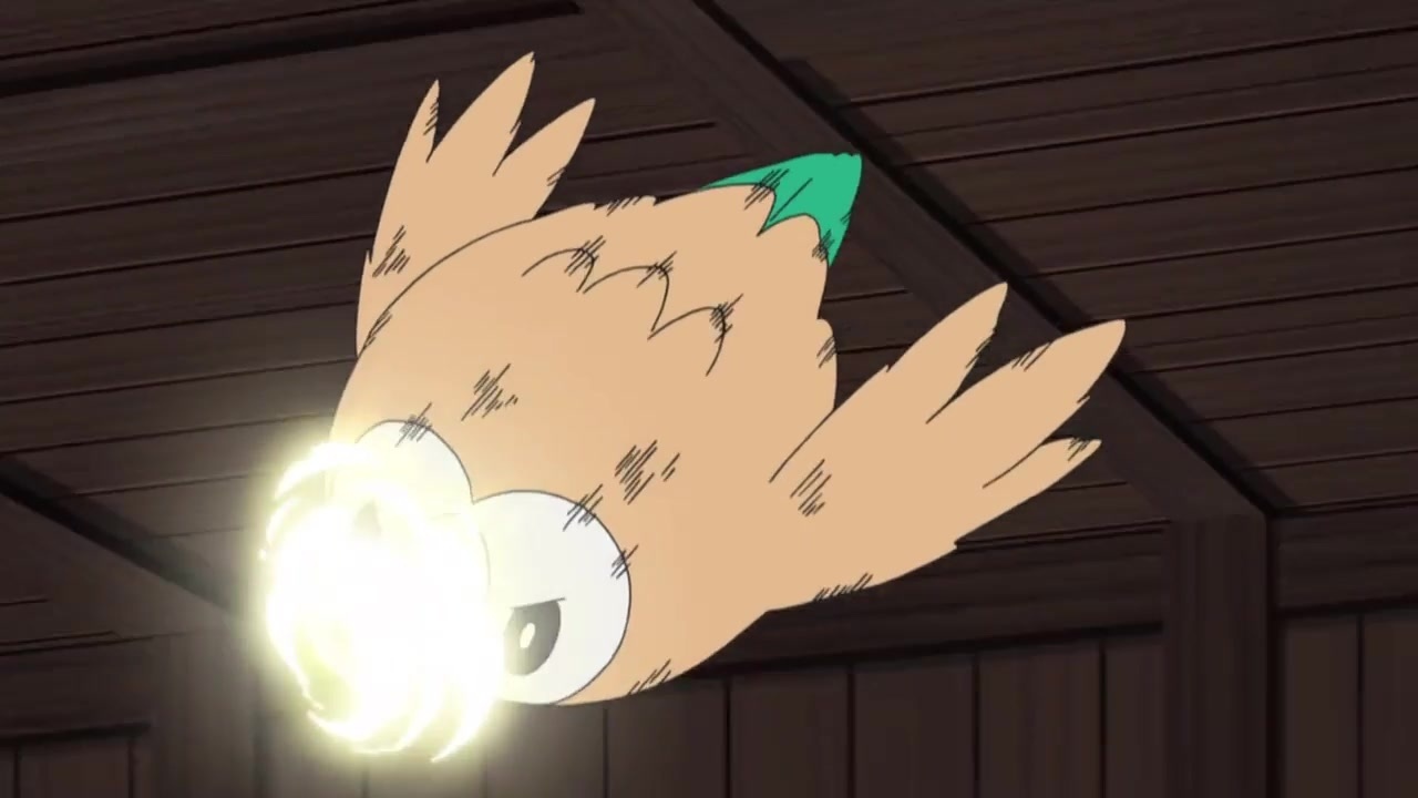 精灵宝可梦:木木枭助阵,并且学会了新绝招,真是棒!