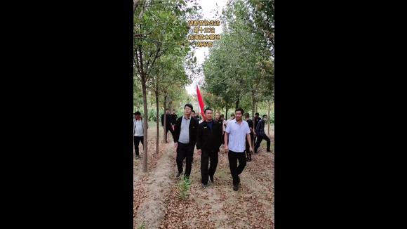 记录望都苗协走访第十三站:望都森海苗木基地