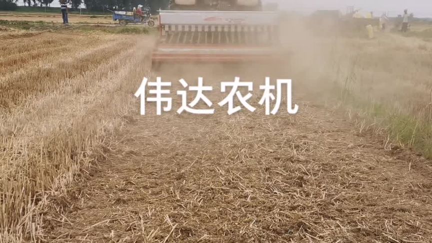 伟达三轴小麦、水稻播种机工作效果视频
