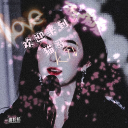 国服杨玉环猫晓 