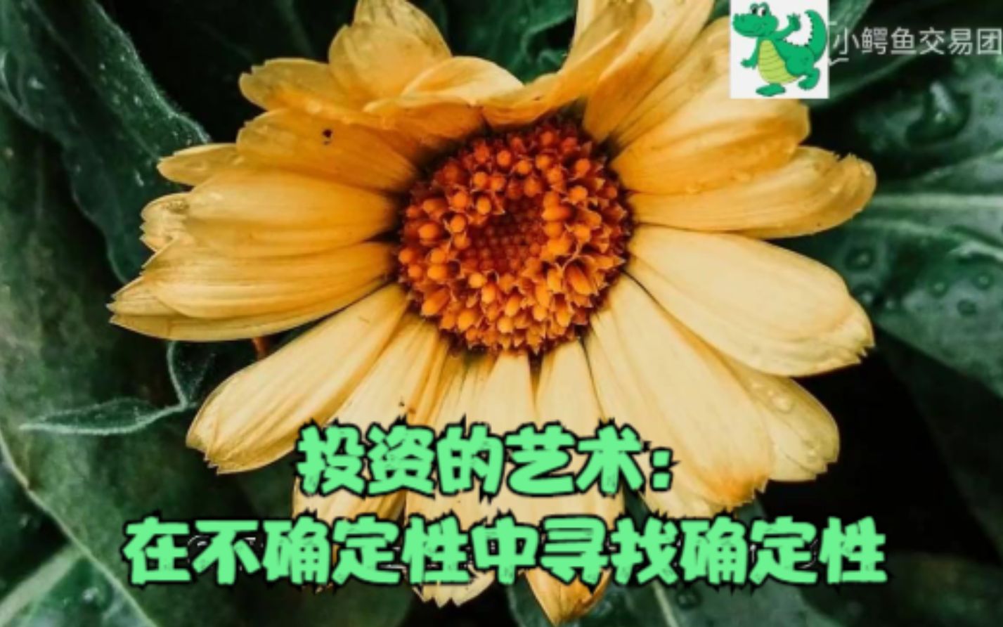 投资的艺术:在不确定性中寻找确定性