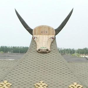 牛哥在北京 