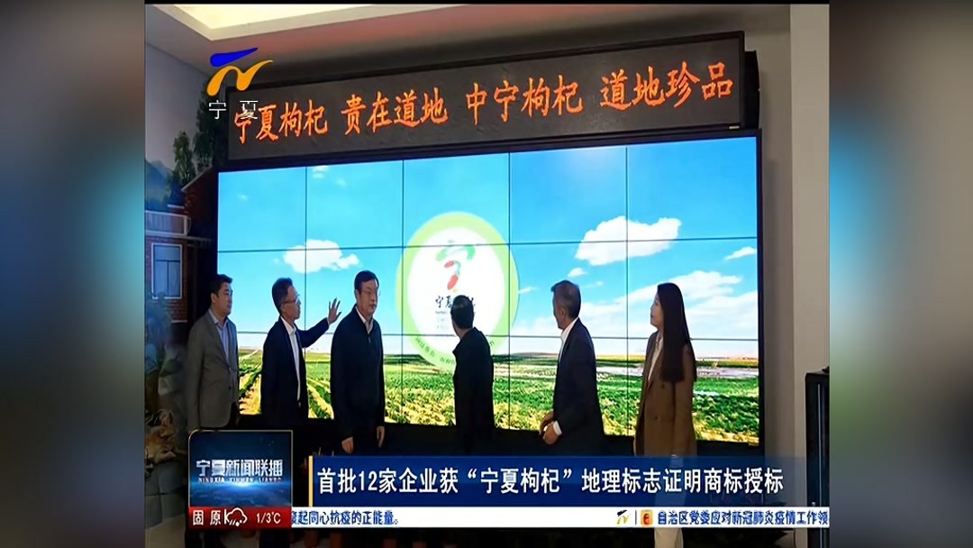 首批12家企业获“宁夏枸杞”地理标志证明商标授标