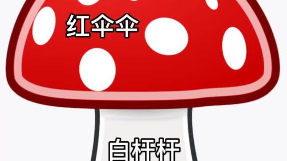 #动画版红伞伞白杆杆。