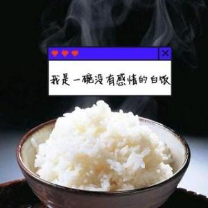 一碗忧伤白饭 