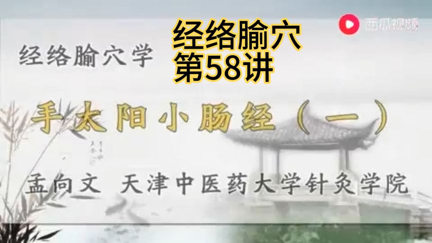 孟向文(天津中医药大学)讲经络腧穴第58讲:手太阳小肠经(一)