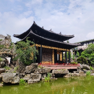 一条前任 