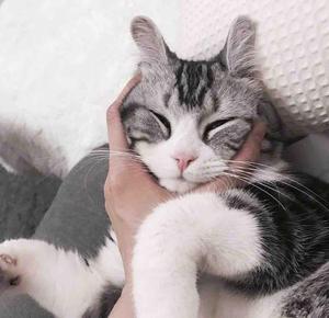 看诗词那些事儿 