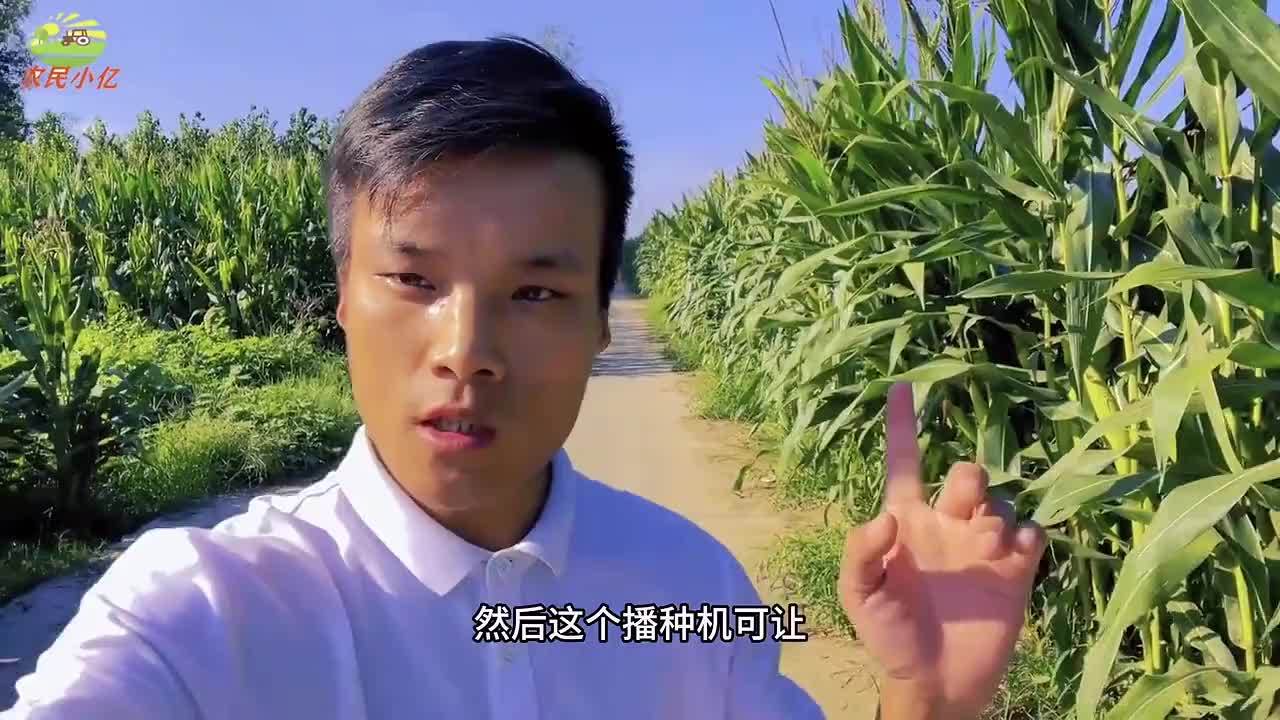 农村新型玉米播种机,每亩可增产500斤玉米,看看咋样?#高产玉米种子 #...