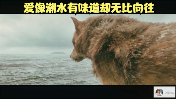 最美好的爱情从学校开始,有过经历最后幸福美满。