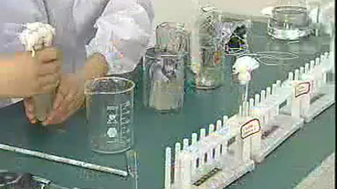 培养液中酵母菌种群数量的变化