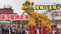 实拍湛江醒狮梅花桩表演,活灵活现难度高,引来万人围观