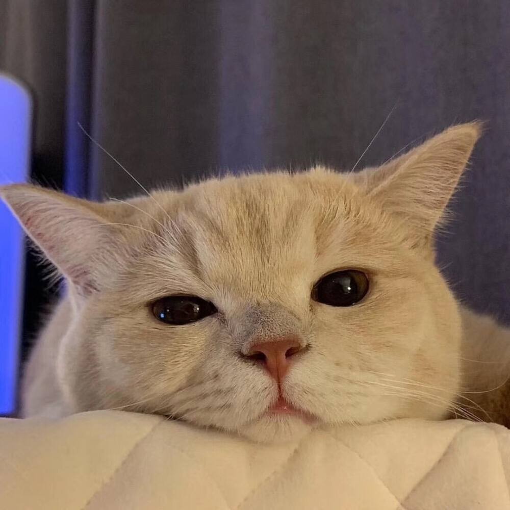 木易杨说娱 