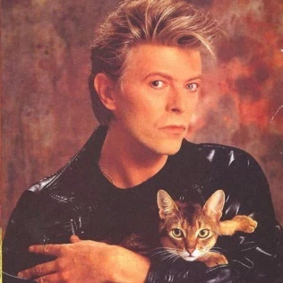 居家绿豆沙de即墨晶瑶