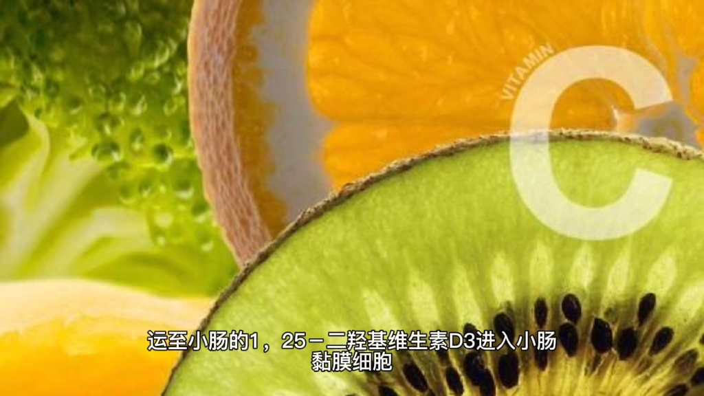 人体维生素D的作用及食物来源