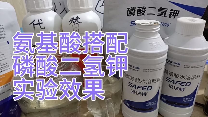 补充植物必需的氨基酸,刺激和调节植物快速生长,促使植物生长