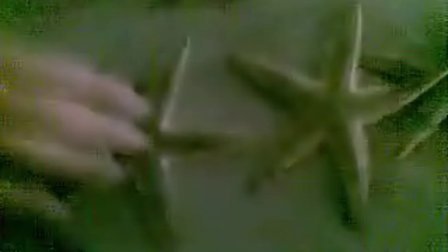 防撒旦撒