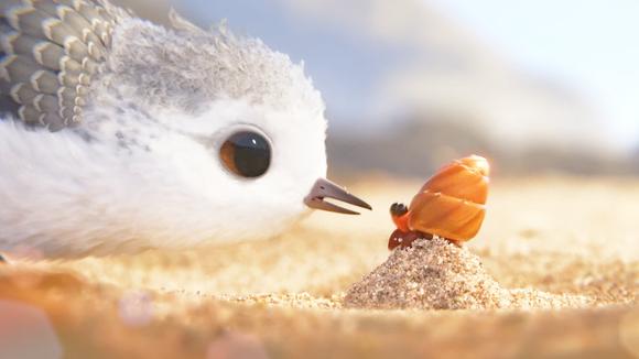 暖心治愈系短片《鹬》,皮克斯耗时三年之作,萌出一脸血