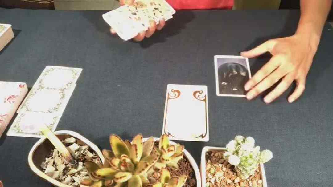 塔罗占卜:TA也喜欢我吗?我们会恋爱吗?