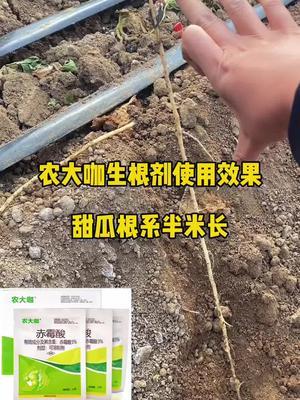 #三农 #农业种植 #种植技术