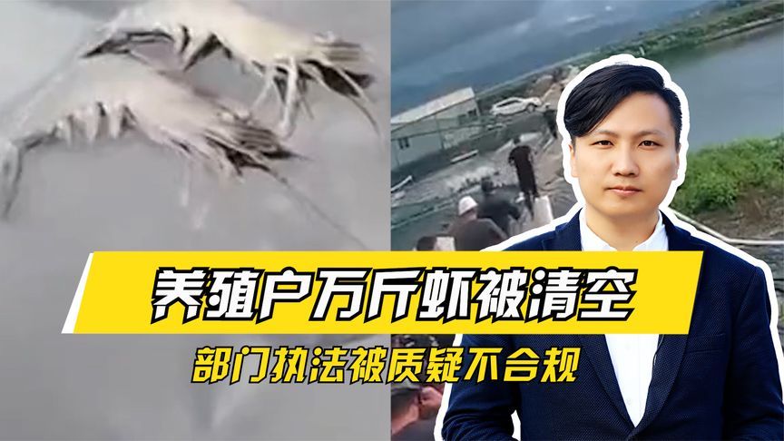 养殖户万斤虾被清空,部门执法遭质疑,镇政府回应:流程操之过急