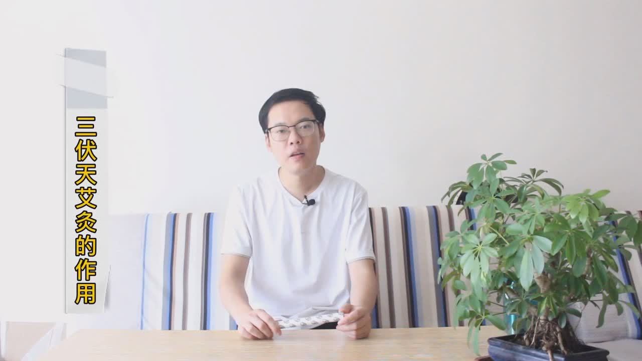 夏季三伏天艾灸的好处和作用