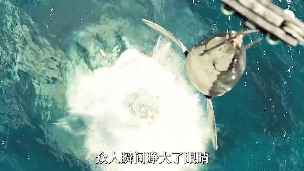 可现场只有一枚血肉模糊的定位芯片
