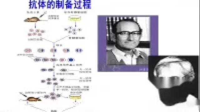 【天艺课堂-微课程】单克隆抗体的制备