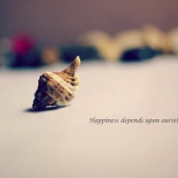 大鱼用户1553830461025347 