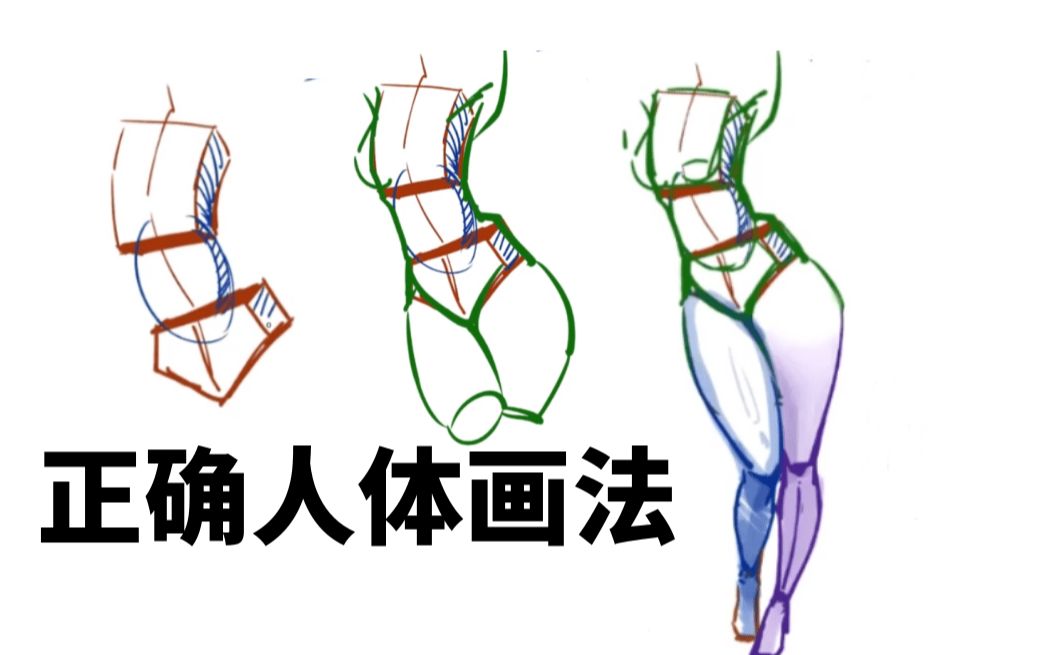 【ps厚涂教程】人体结构示范,直击造型要害。